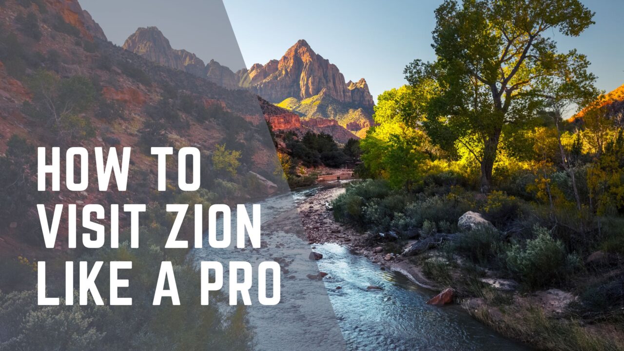 Explore Zion National Park: Guide for First-Time Visitors