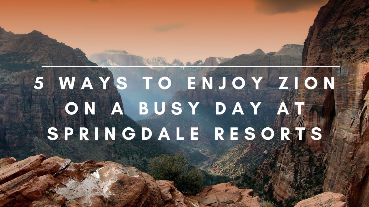 Explore Zion: Top Tips for Busy Summer Days!