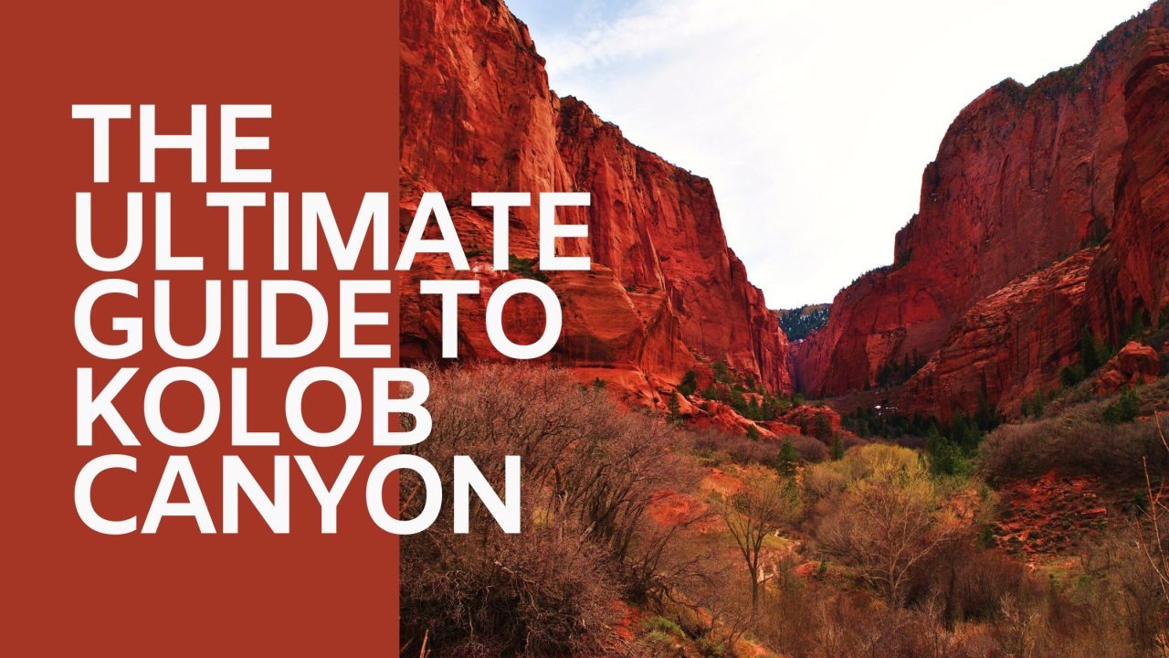 Explore Hidden Kolob Canyons at Zion National Park!