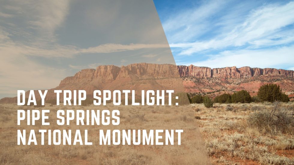 Explore Zion & Beyond: Stay at Zion Wildflower Resort!